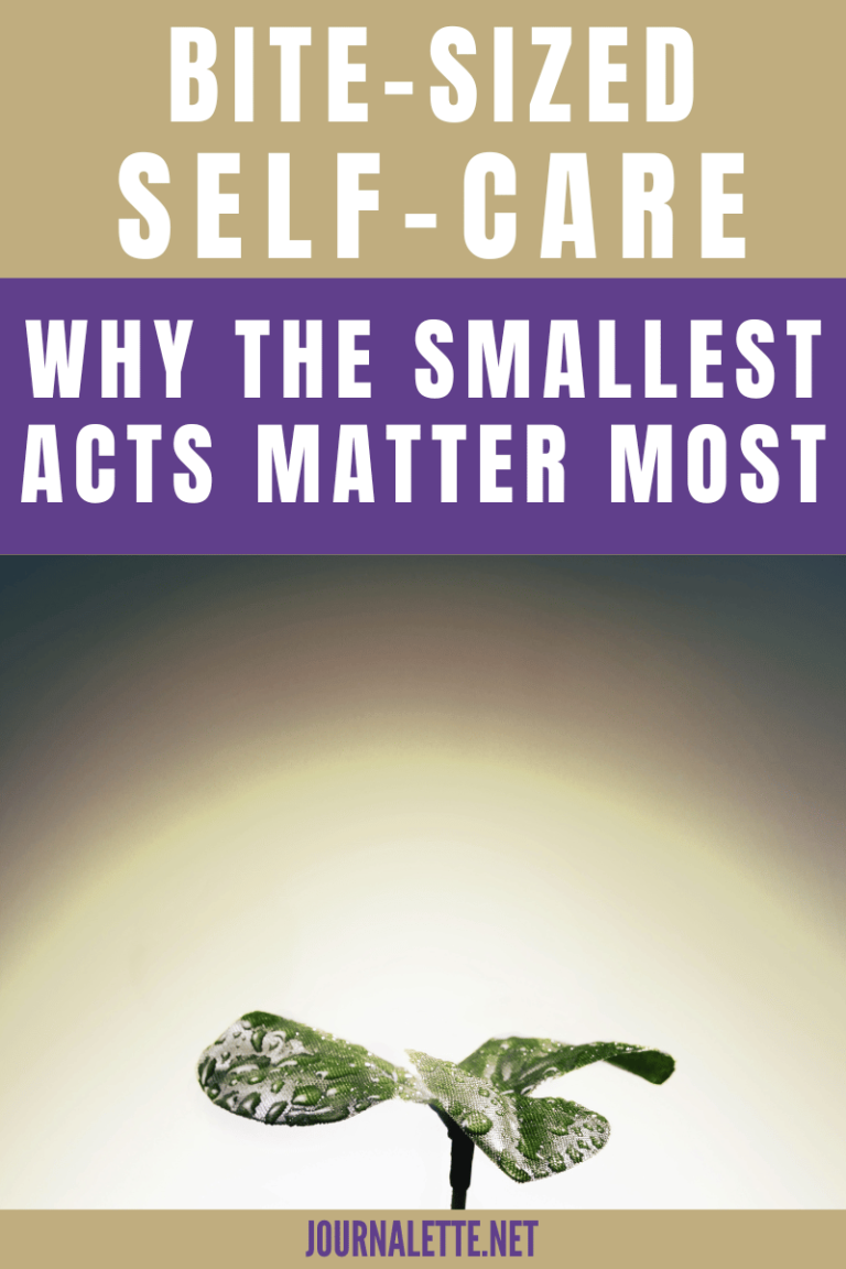 Bite-Sized Self-Care: Why the Smallest Acts Matter Most - Journalette